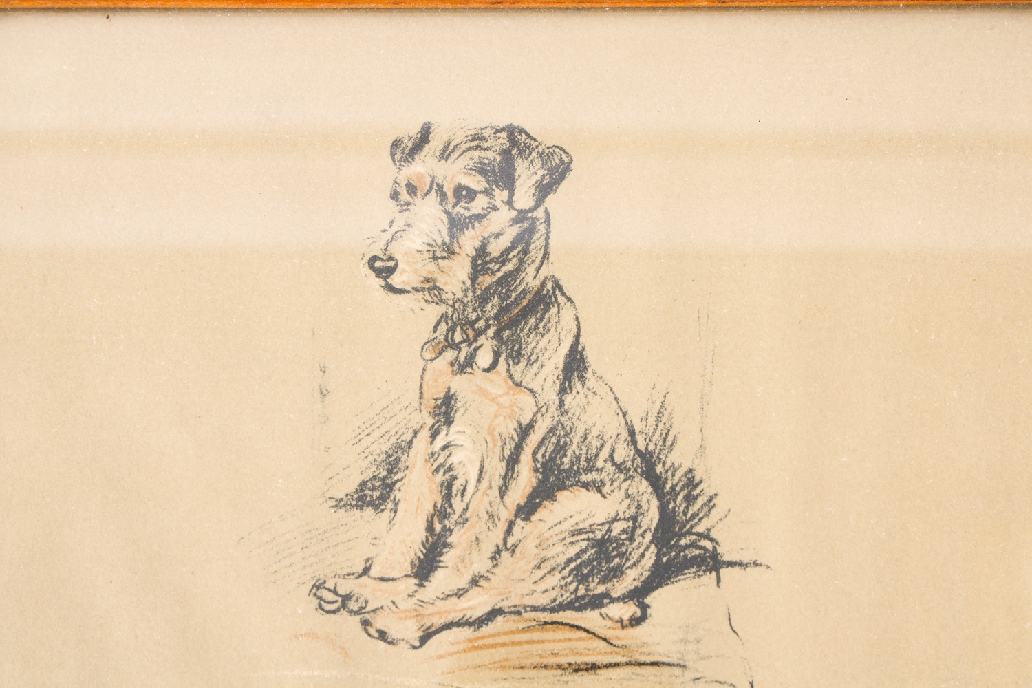 Lucy Dawson | Dog Prints | MutualArt