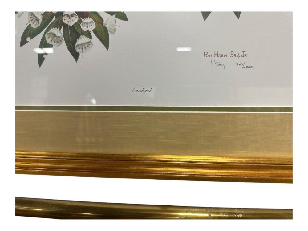 Ray Harm | Cardinal | MutualArt