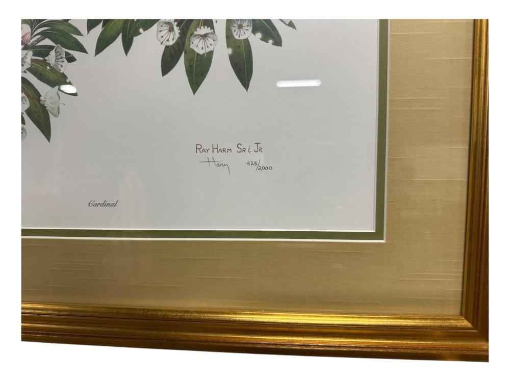 Ray Harm | Cardinal | MutualArt