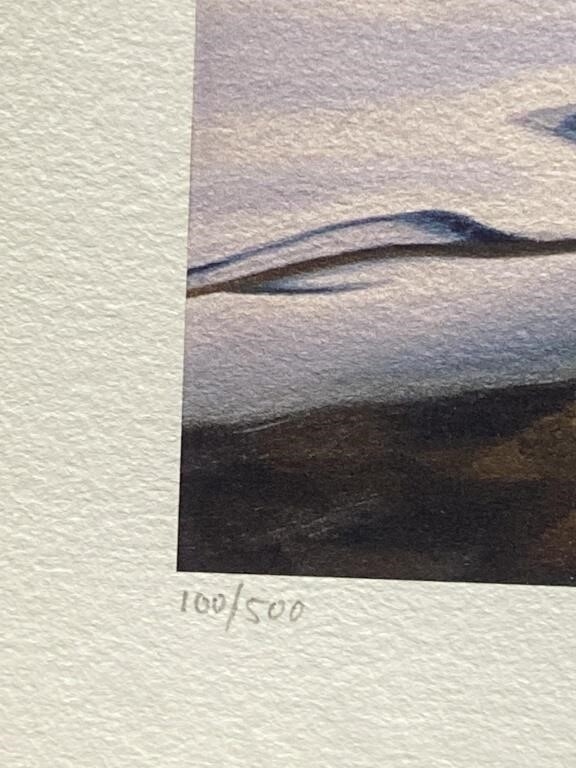 John Harris | Sycamore | MutualArt