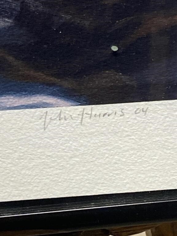 John Harris | Sycamore | MutualArt