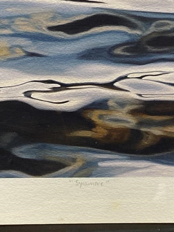 John Harris | Sycamore | MutualArt