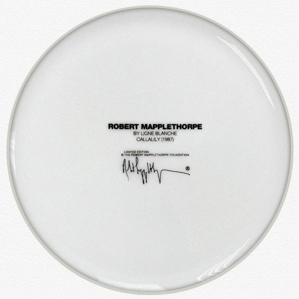 Robert Mapplethorpe | Calla Lily (1987 (1987) | MutualArt