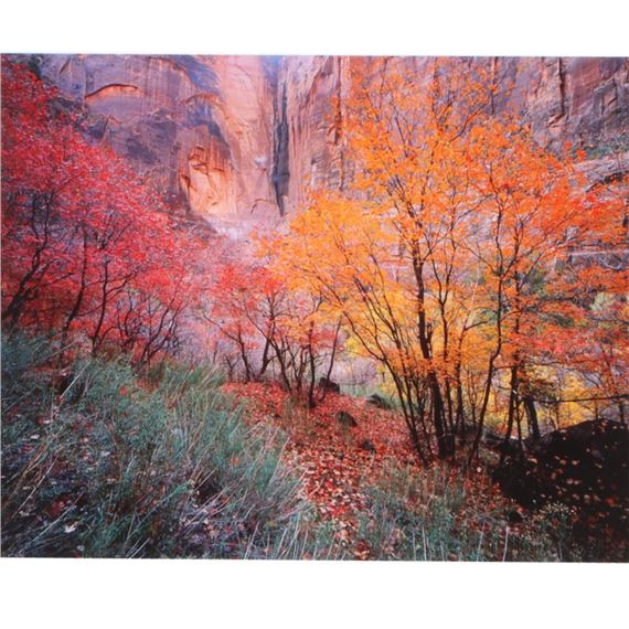 Michael Fatali | Autumn In Zion (Zion Canyon) (2002) | MutualArt