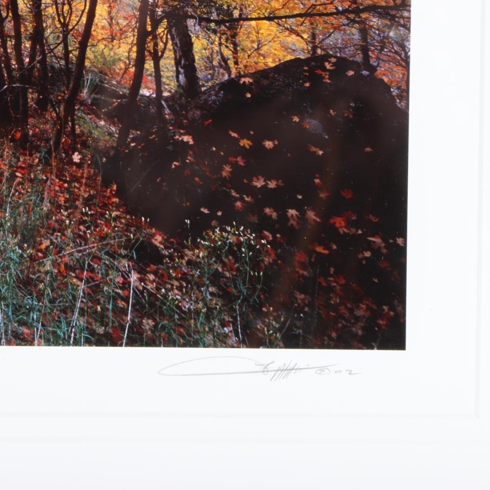 Michael Fatali | Autumn In Zion (Zion Canyon) (2002) | MutualArt