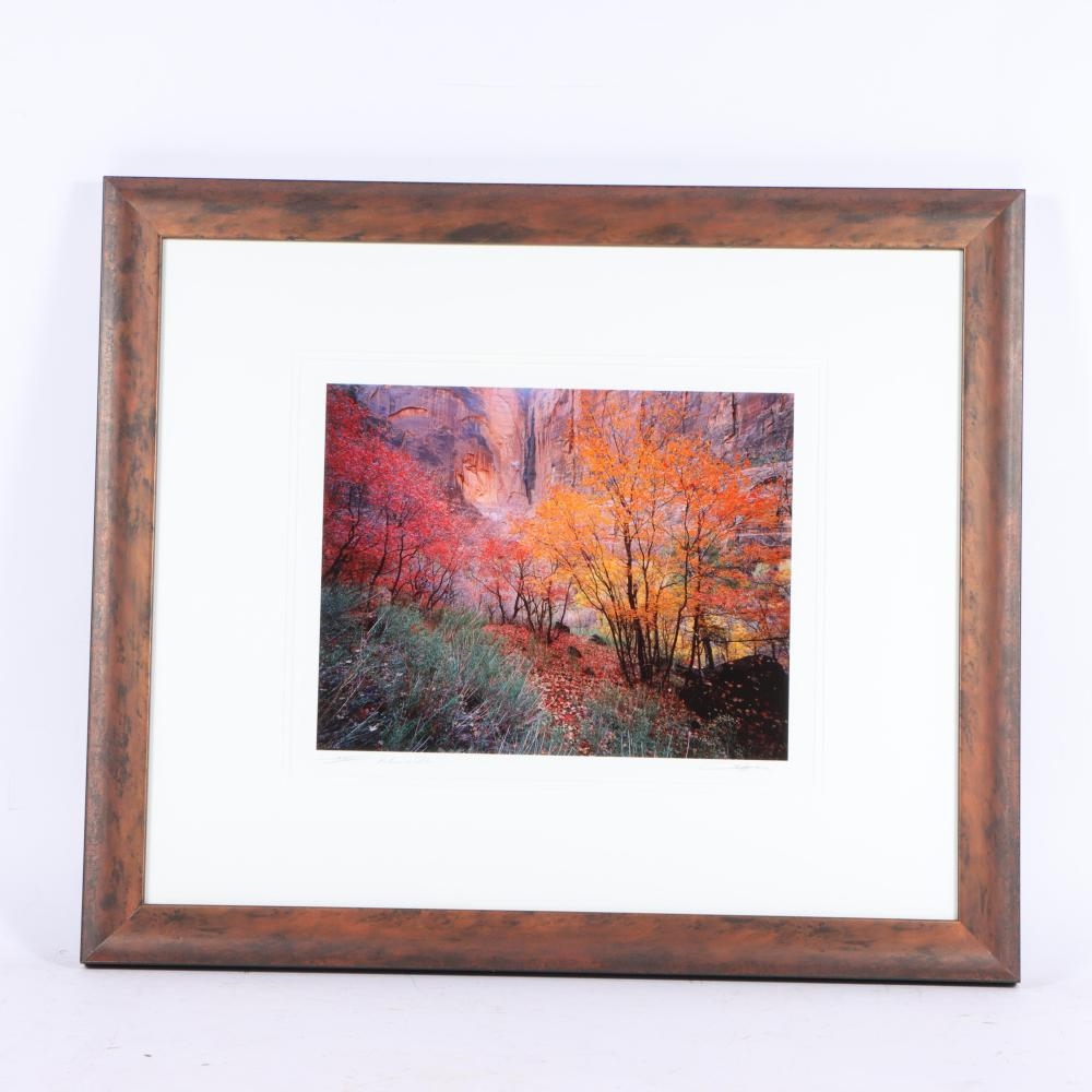 Michael Fatali | Autumn In Zion (Zion Canyon) (2002) | MutualArt