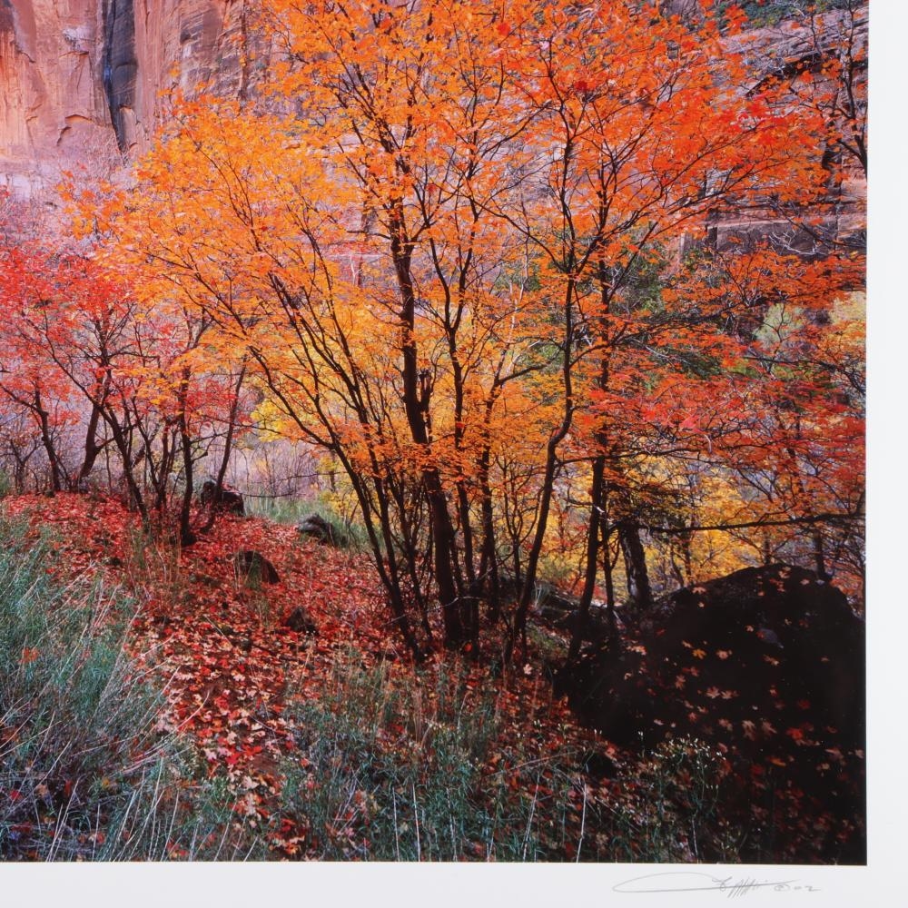 Michael Fatali | Autumn In Zion (Zion Canyon) (2002) | MutualArt
