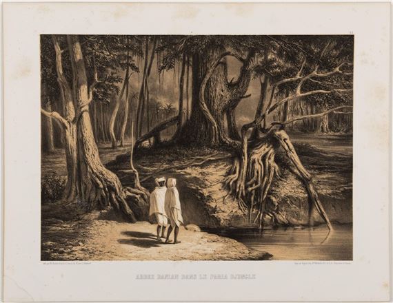 Prince Alexis Soltykoff | Voyage dans l'Inde. Arbre Banian dans le ...