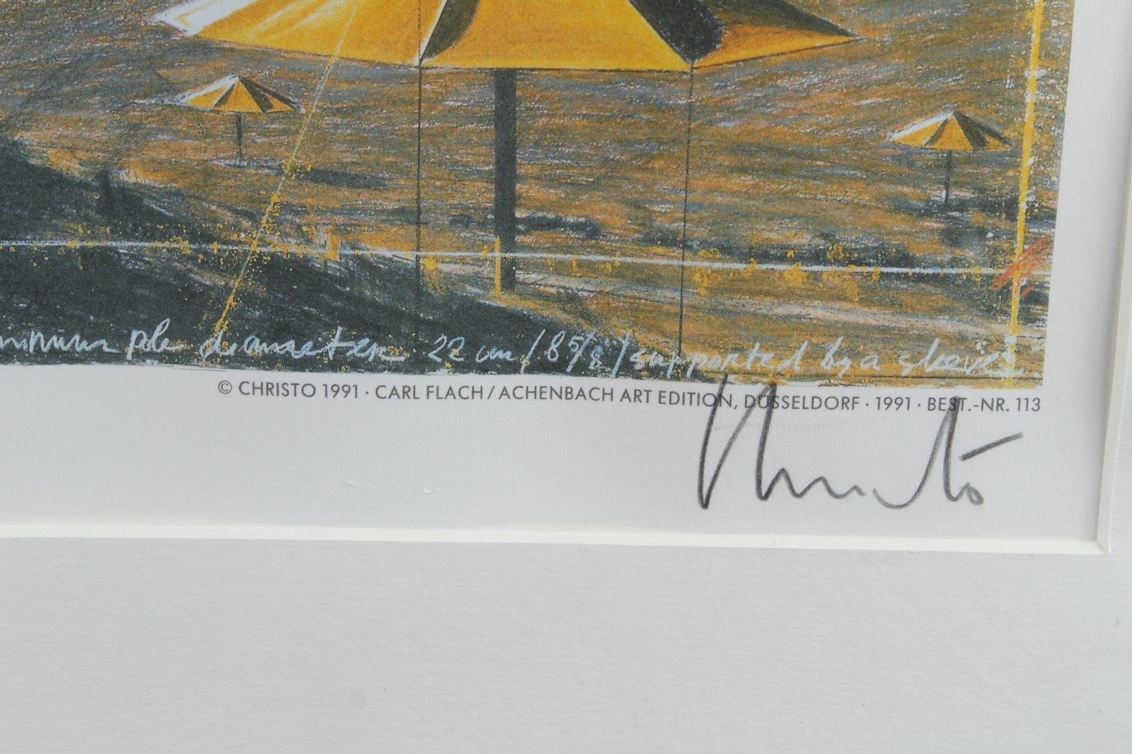 Christo | The Umbrellas | MutualArt