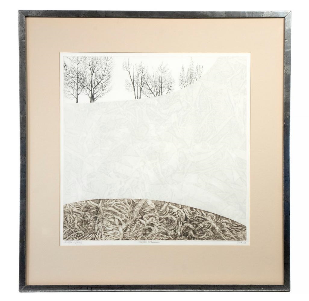 SANDRA BIDWELL OLENIK | Surface Extensions (1975) | MutualArt