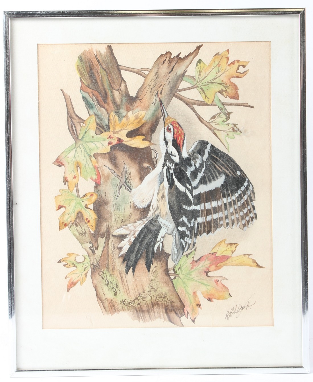 Basil Ede | Lesser Spotted Woodpecker | MutualArt