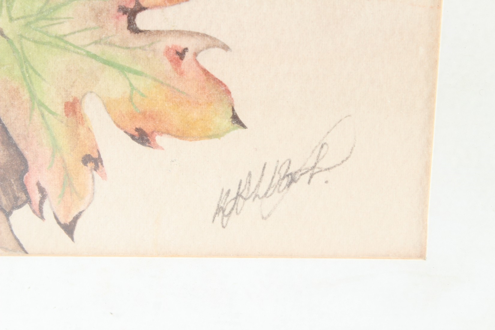 Basil Ede | Lesser Spotted Woodpecker | MutualArt