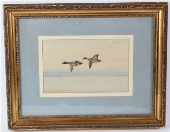 Philip Rickman | Widgeon in Flight | MutualArt