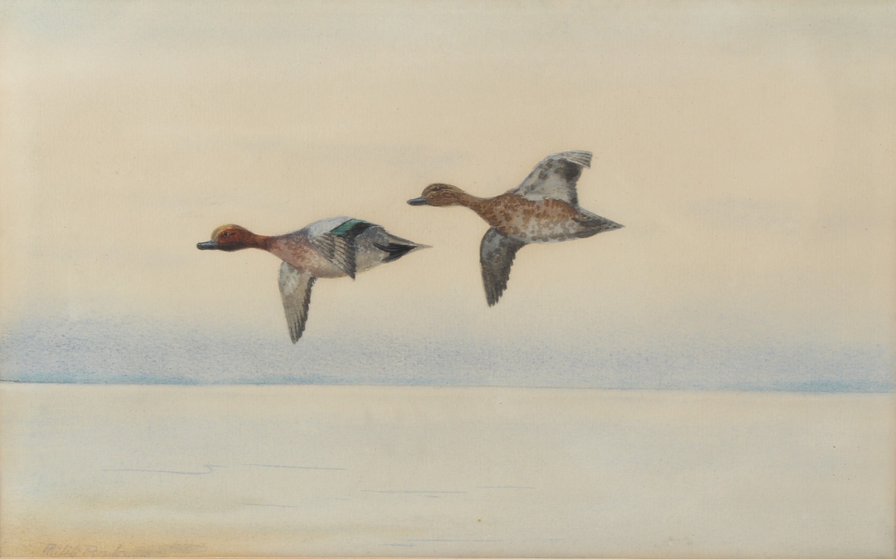 Philip Rickman | Widgeon in Flight | MutualArt