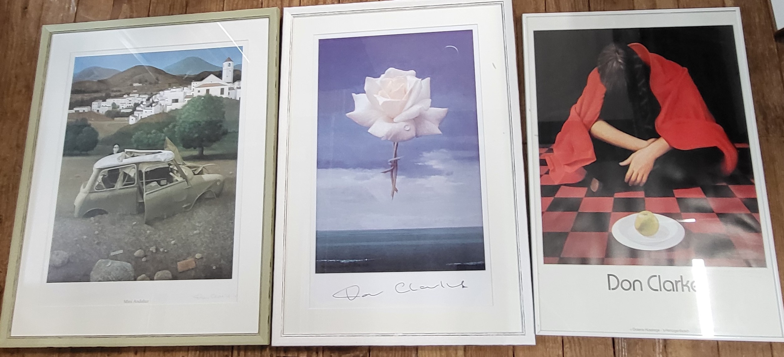 Don Clarke | one of a barbed wire rose, Mini Andaluz, and a man in red ...