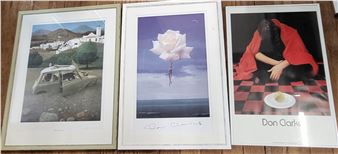 Don Clarke | one of a barbed wire rose, Mini Andaluz, and a man in red ...