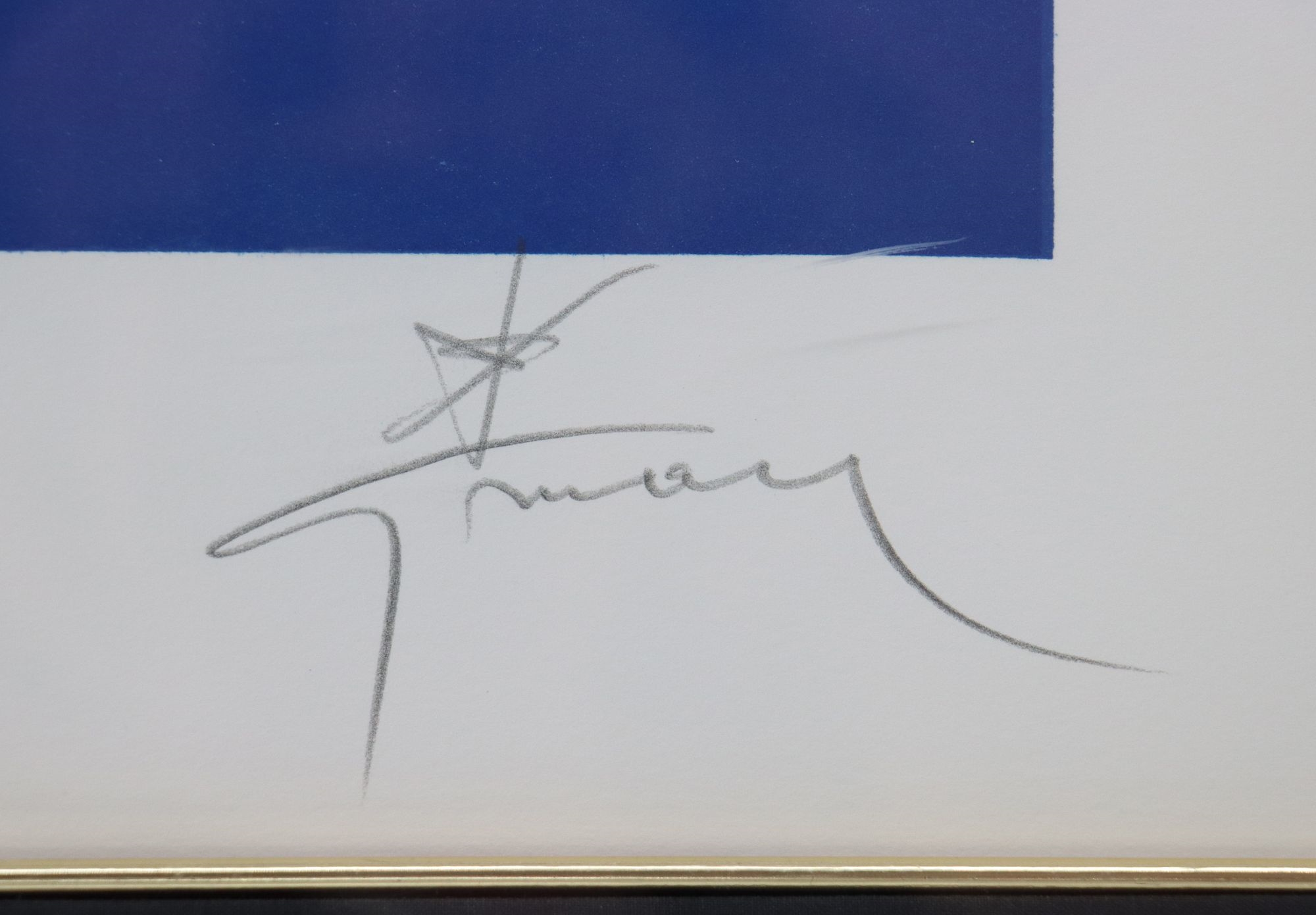 René Gruau | A vivacious Follies Girl dancing along with shadowy ...