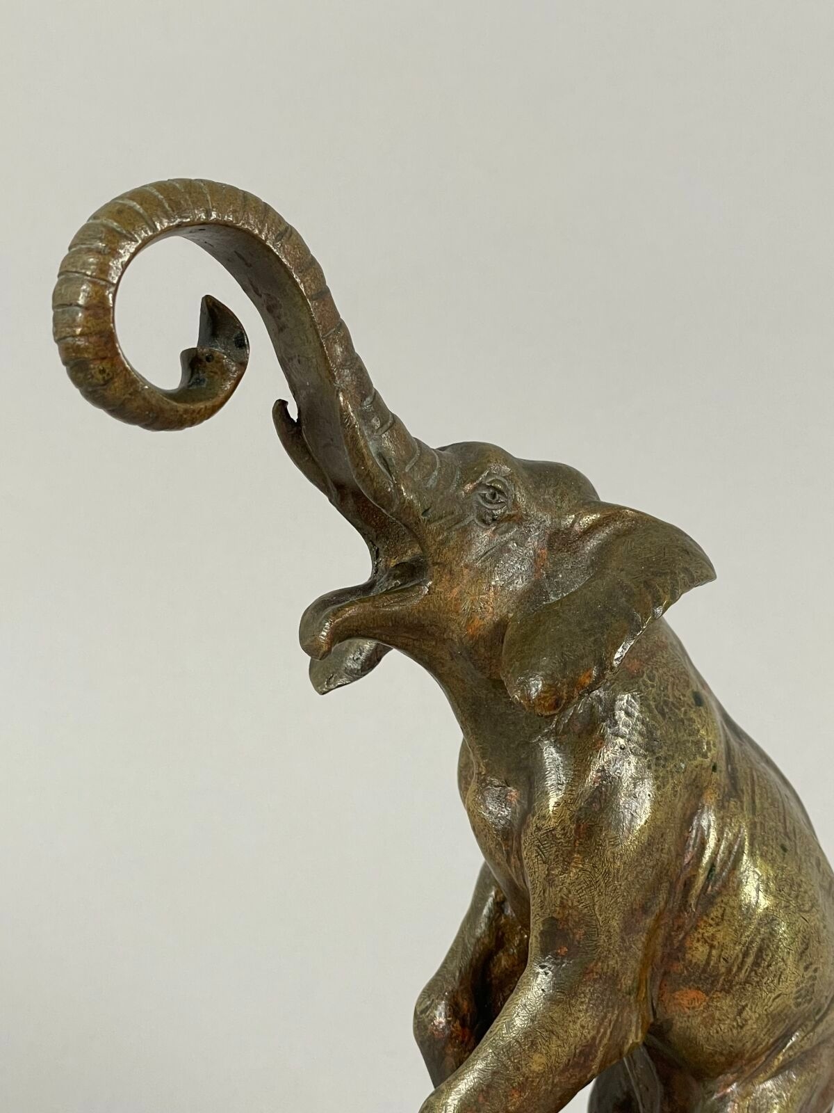 Charles Paillet | Elephant | MutualArt