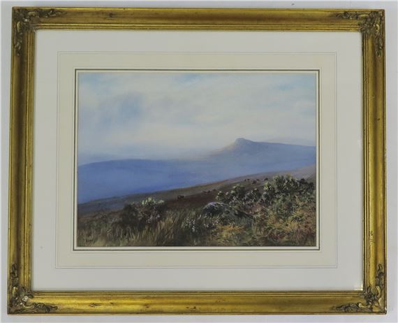 William Henry Dyer | The Hare Tor Valley | MutualArt