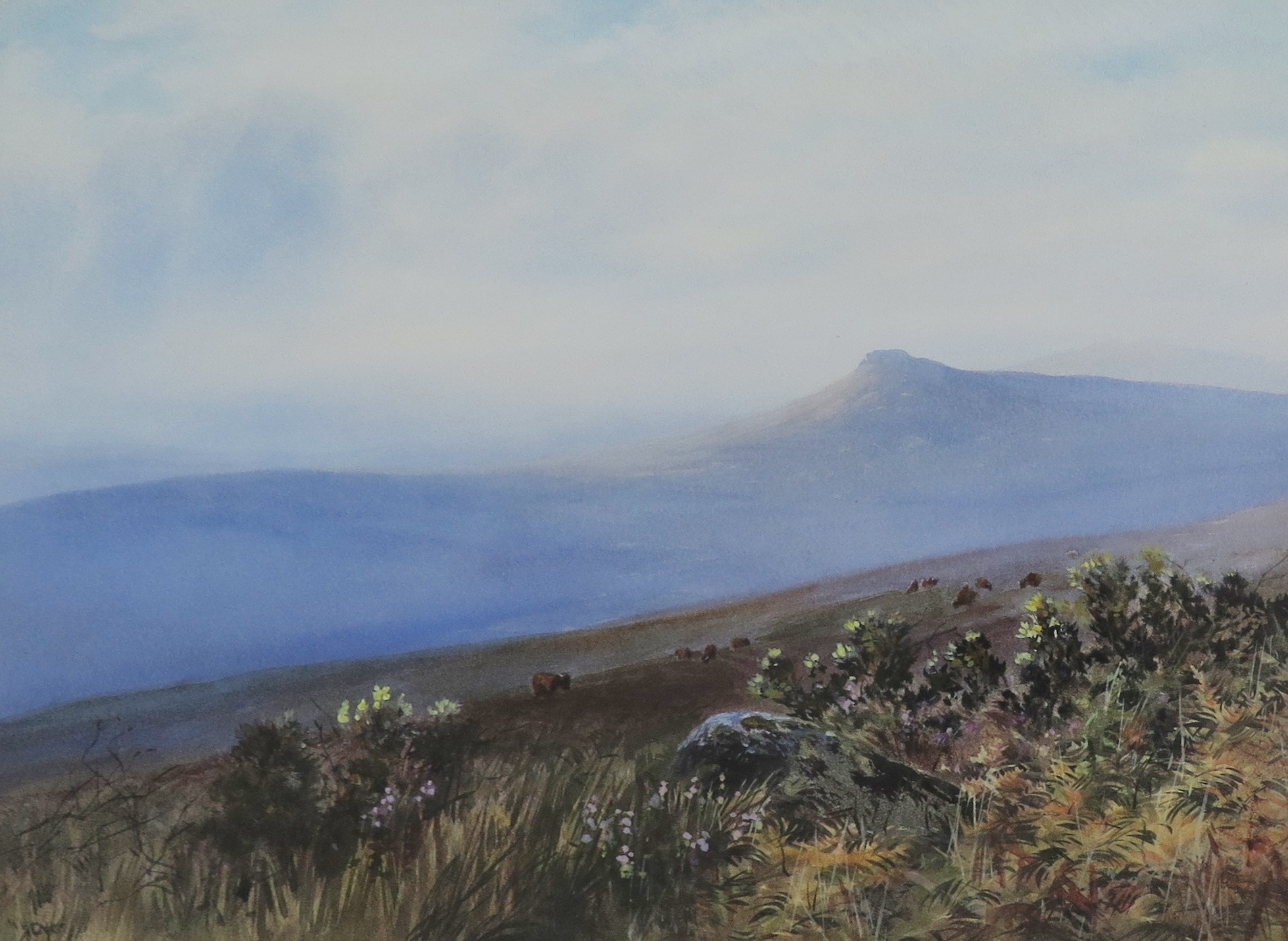 William Henry Dyer | The Hare Tor Valley | MutualArt