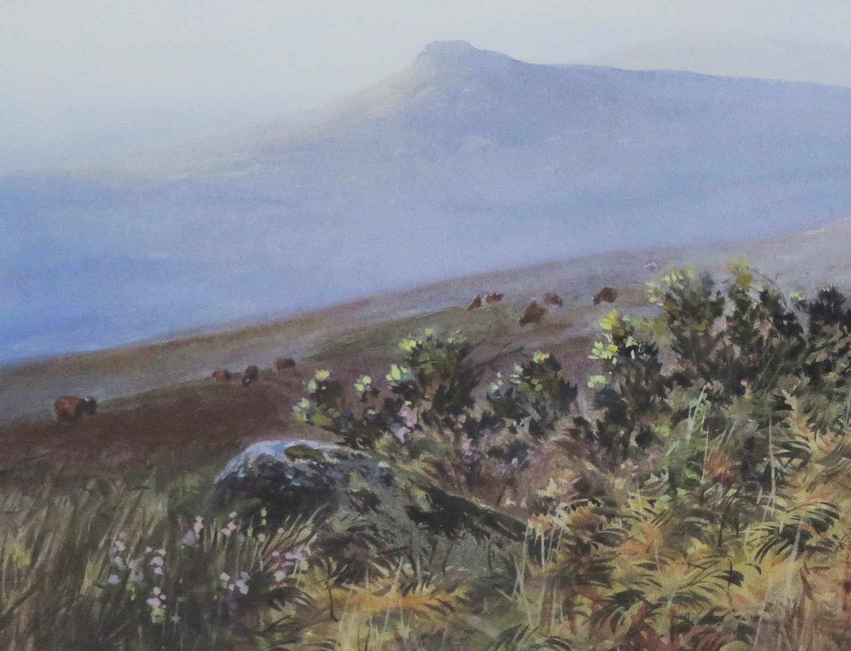 William Henry Dyer | The Hare Tor Valley | MutualArt