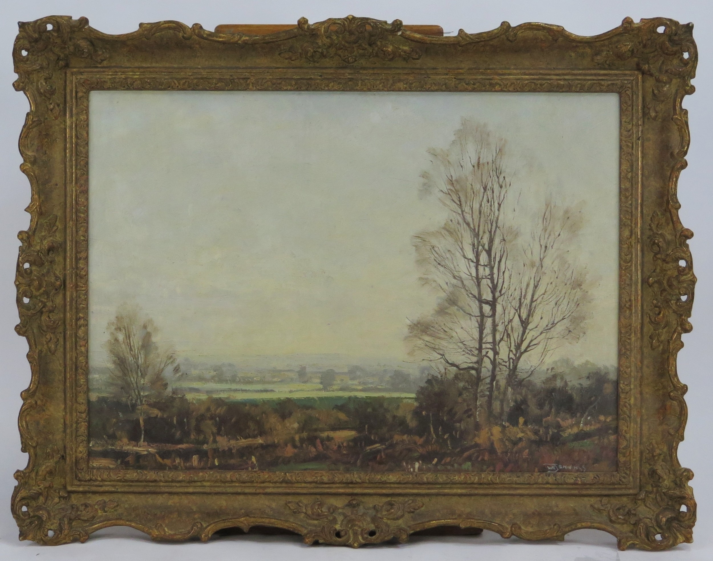 Walter Robin Jennings | Bracken and Birches | MutualArt