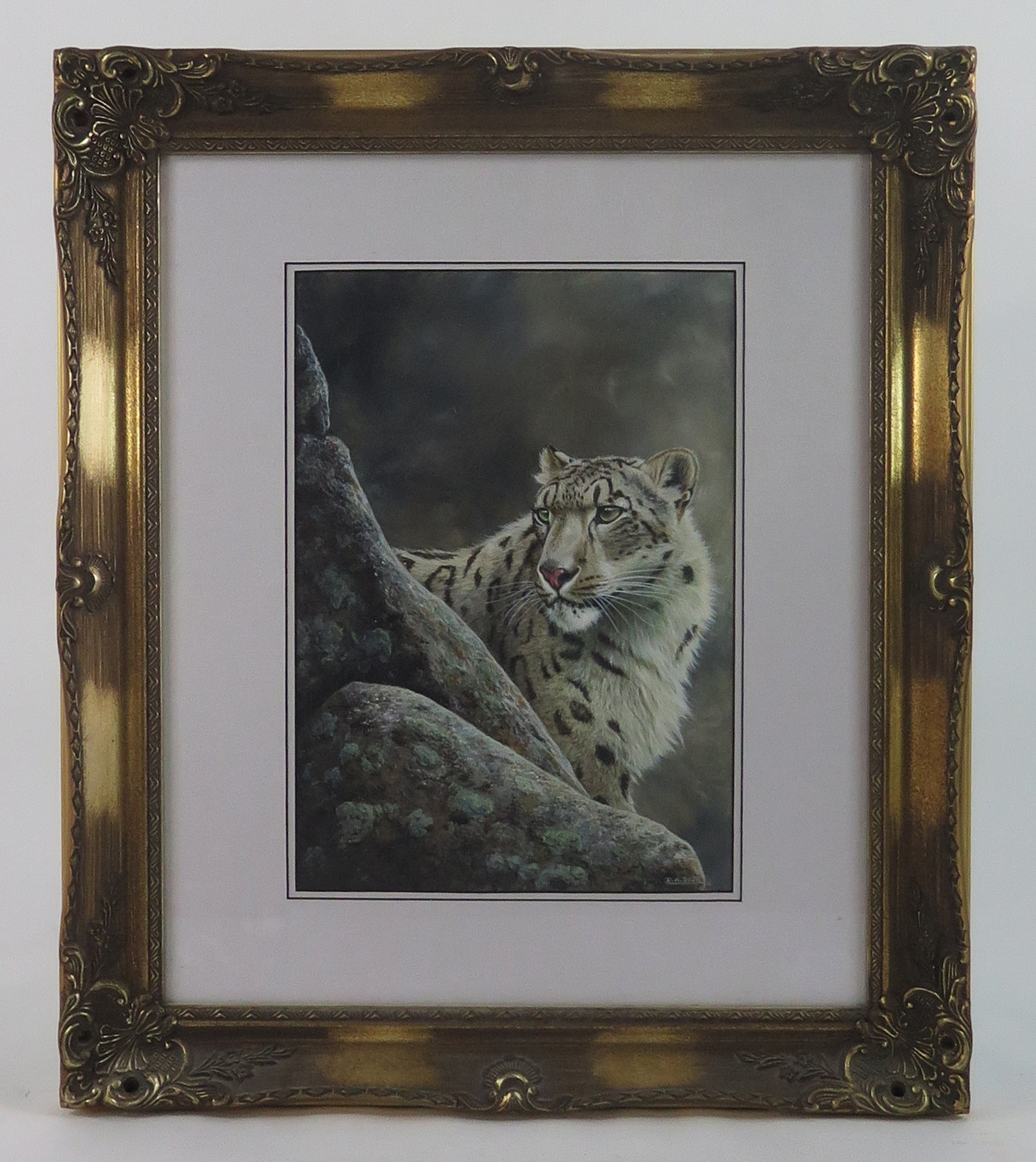 David A. Scott | Snow Leopard | MutualArt
