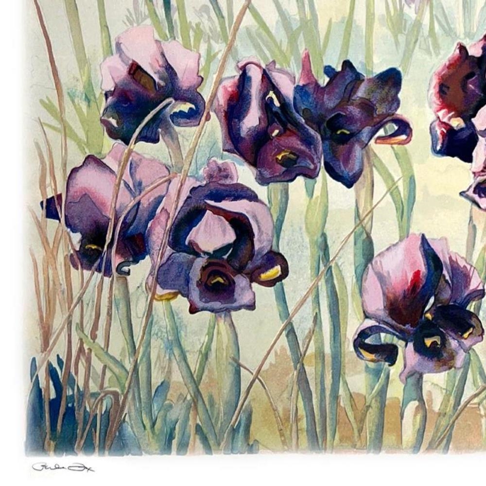 Perla Fox | Iris | MutualArt