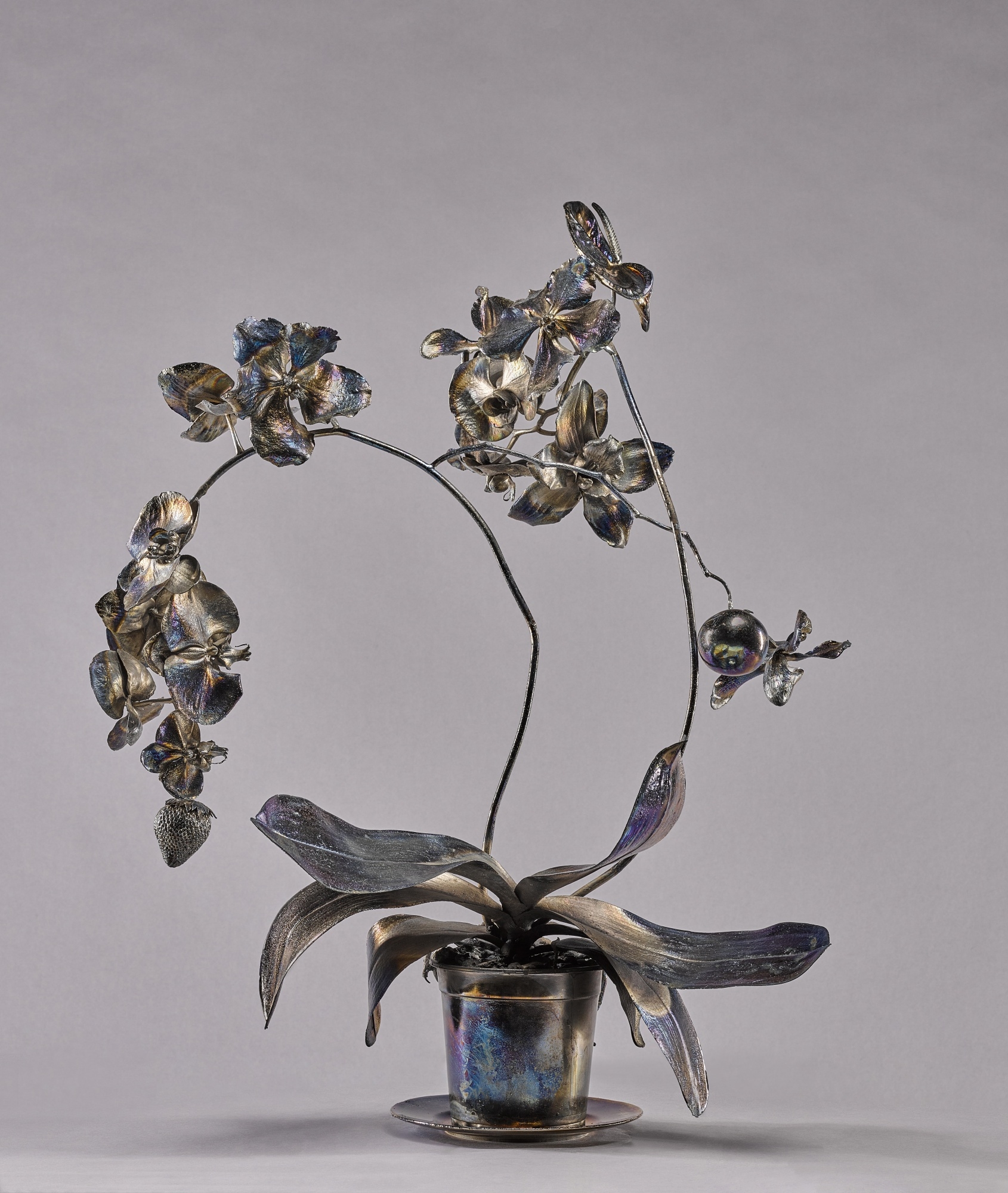 Quinn Marc | The Nurseries of El Dorado (2007) | Compare similar ...