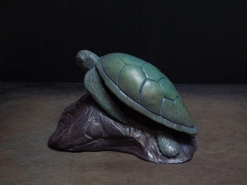 Marc Mauzat | Ma tortue marine | MutualArt