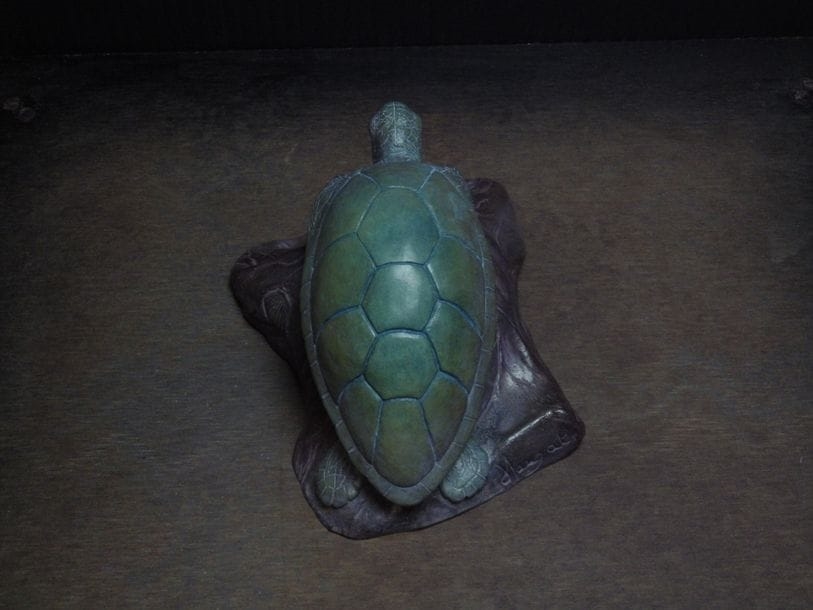 Marc Mauzat | Ma tortue marine | MutualArt