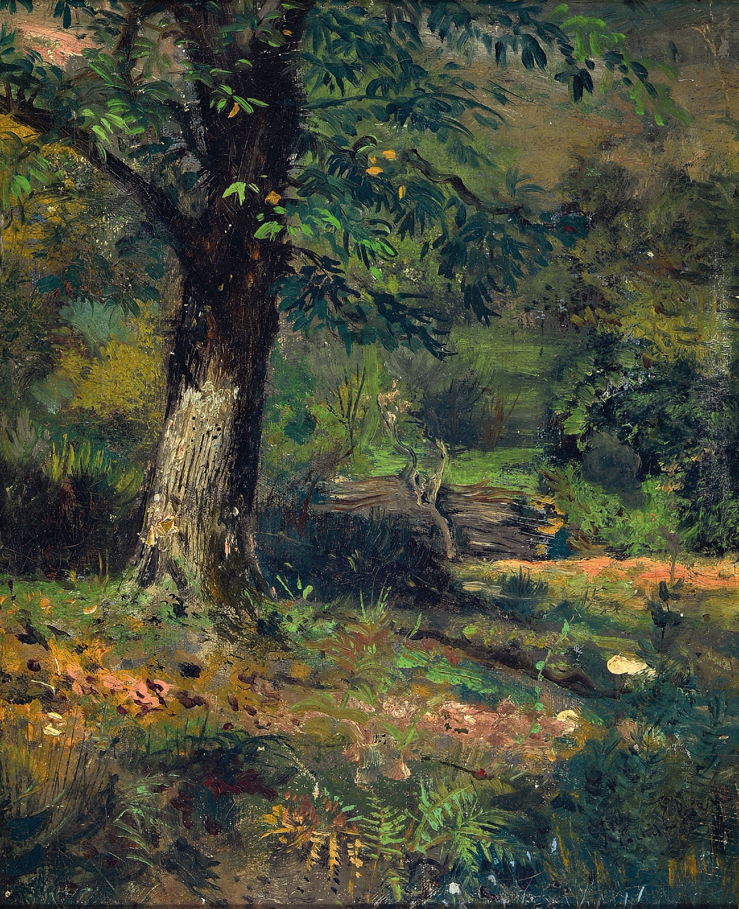 Jan Baptiste Tetar van Elven | nature study (1815) | MutualArt