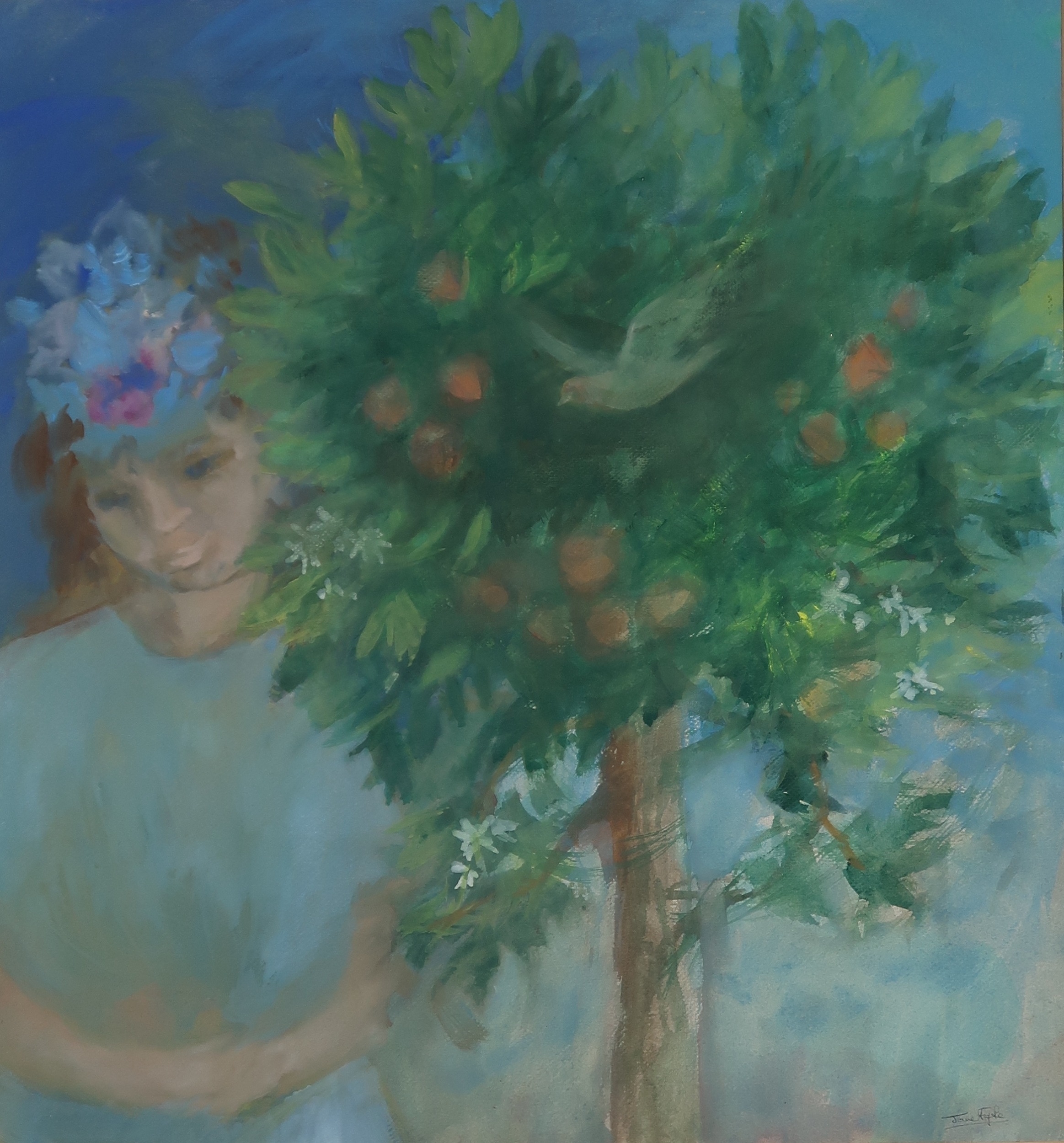 Jane Fyfe | THE ORANGE TREE | MutualArt