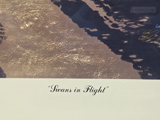 Ed Tussey | Swans in Flight | MutualArt