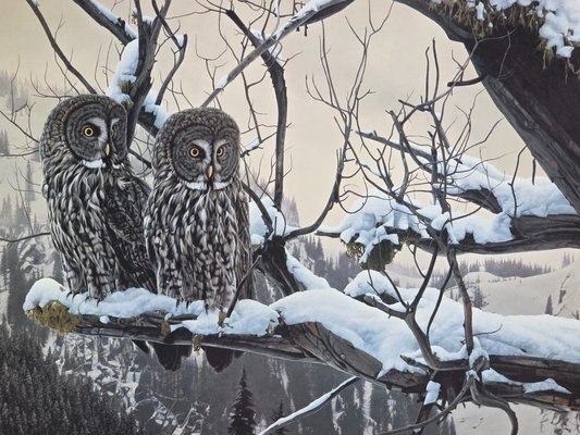 Rod Frederick | Shadows of Dusk | MutualArt