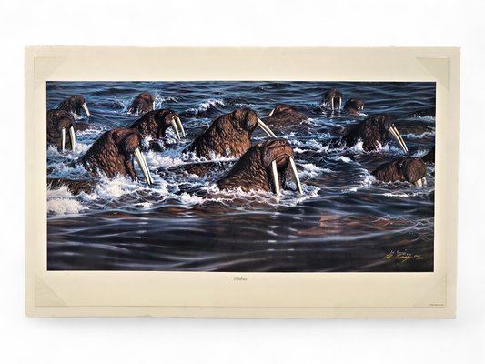 Ed Tussey | Walrus (20th Century 21st Century) | MutualArt