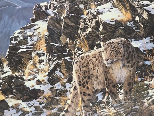 Simon Combes | Mountain Myth | MutualArt