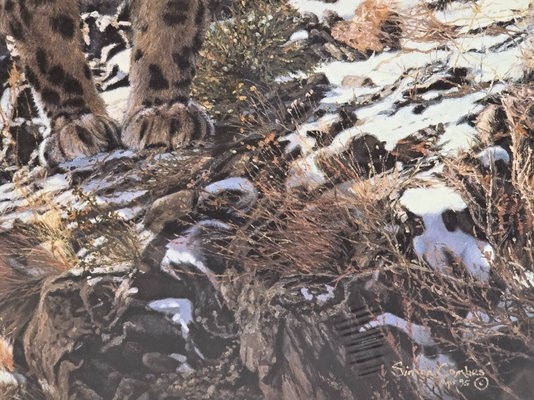 Simon Combes | Mountain Myth | MutualArt