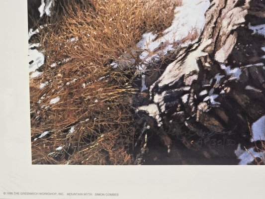 Simon Combes | Mountain Myth | MutualArt