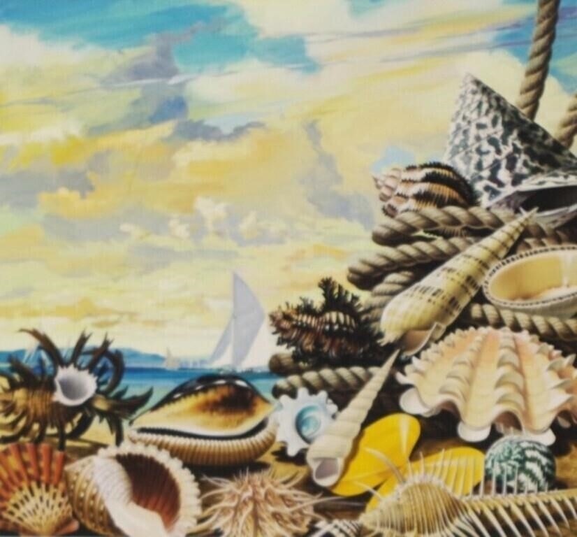 Ralph Malcolm Warner | The Shells of Western Australia (Circa 1959 ...