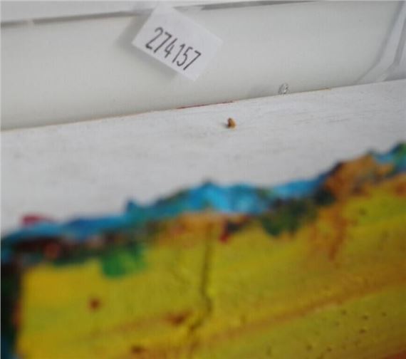 Brad Munro | Cascade | MutualArt