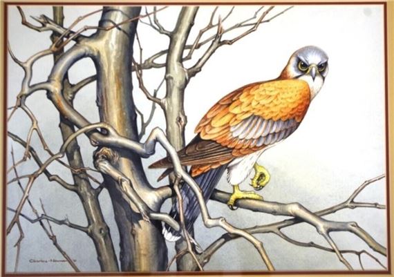 Charles Newman | Bird of Prey | MutualArt