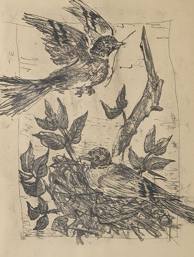 Pablo Picasso | The Goldfinch | MutualArt