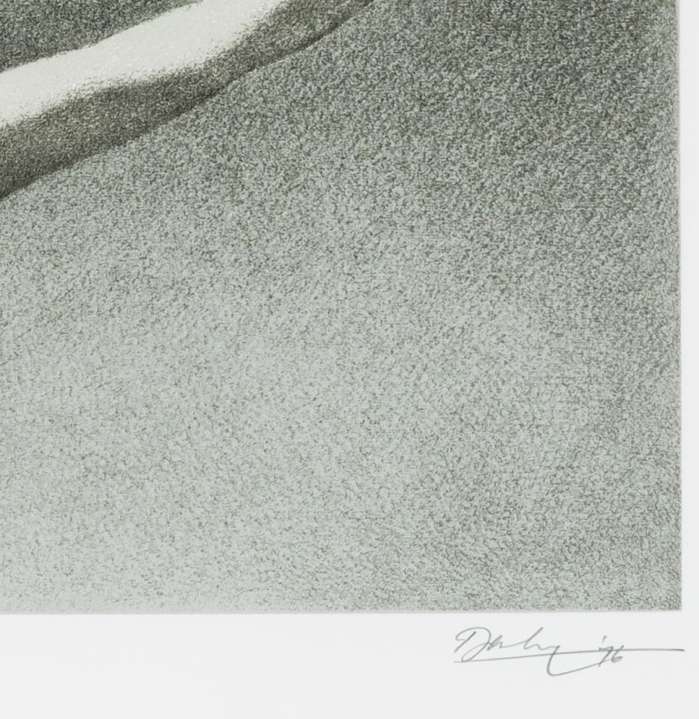 Ken Danby | The Diver (1976) | MutualArt