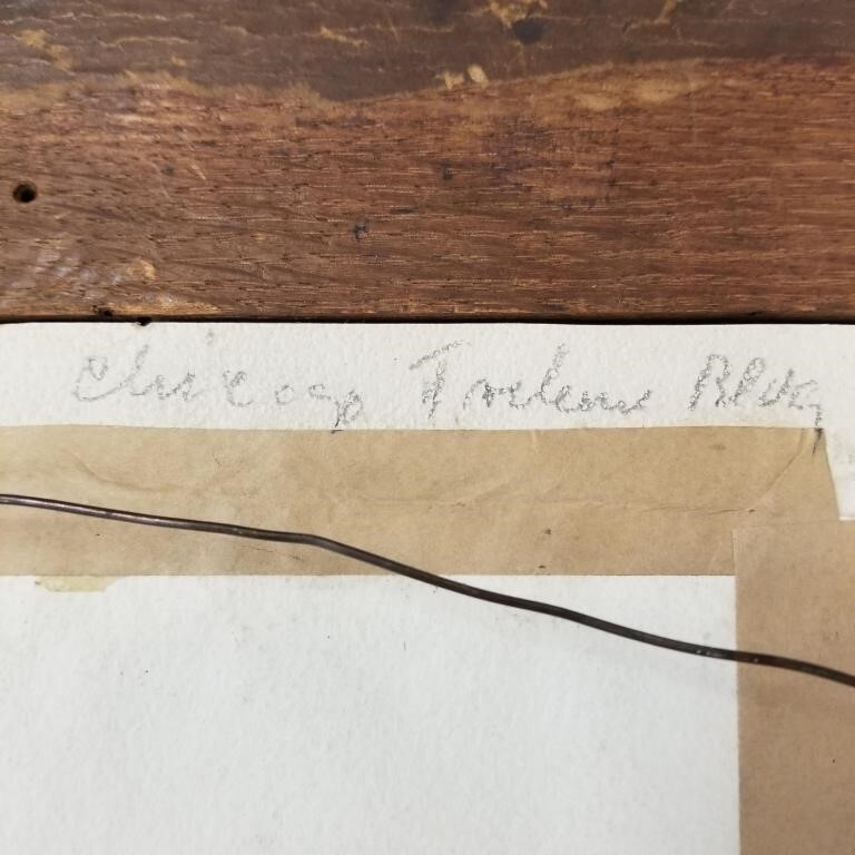 Charles St. Pierre | Chicago | MutualArt