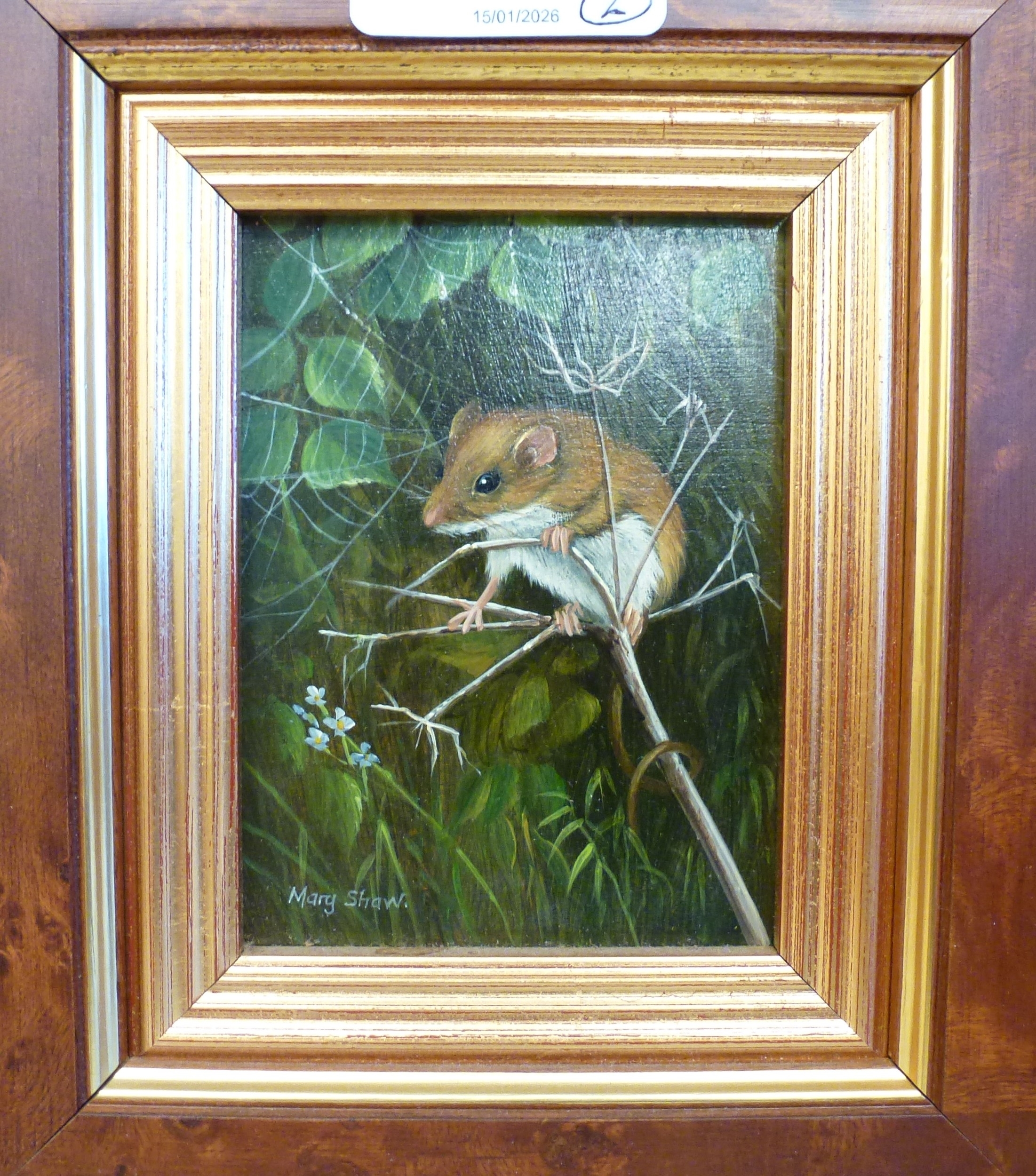 Mary Shaw | a study, a mouse; and another, an owl | MutualArt