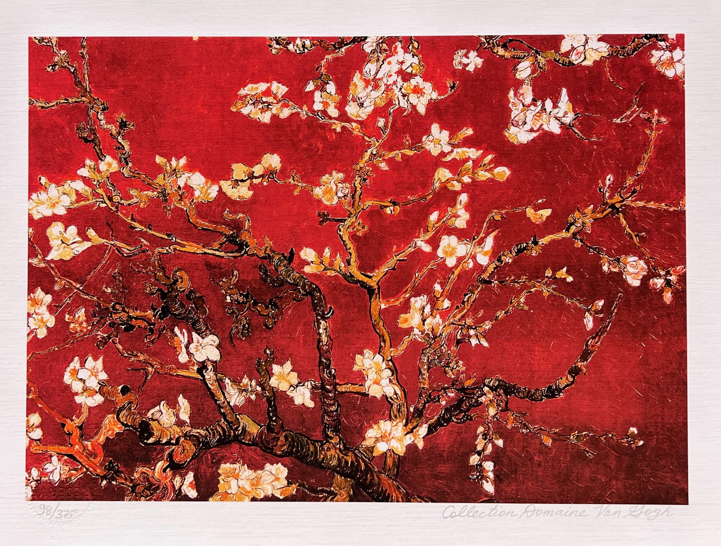 Vincent Van Gogh | ALMOND BLOSSOMS – RED | MutualArt