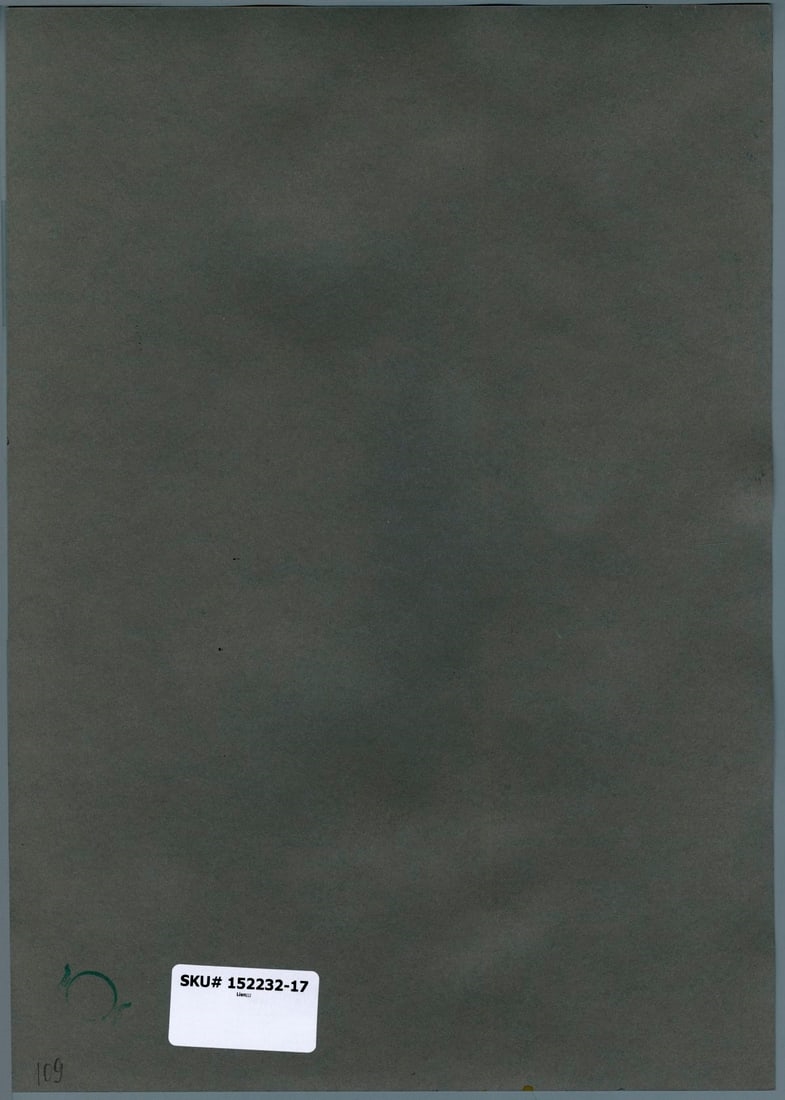 Lyudmila Rudenko | Lion | MutualArt