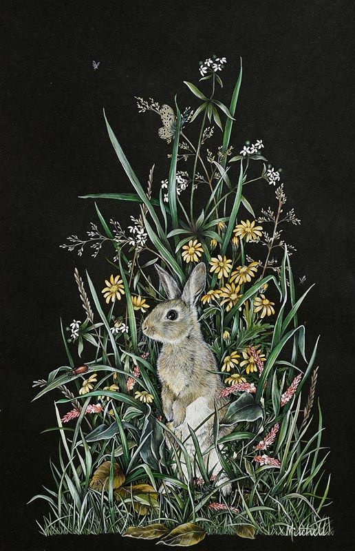 Barbara Mitchell | Rabbit in Foliage | MutualArt