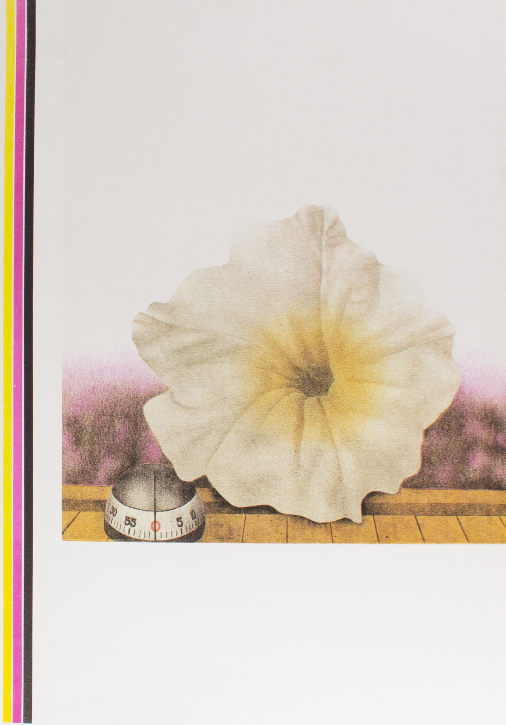 Kyu Baik Hwang | Flower-B | MutualArt